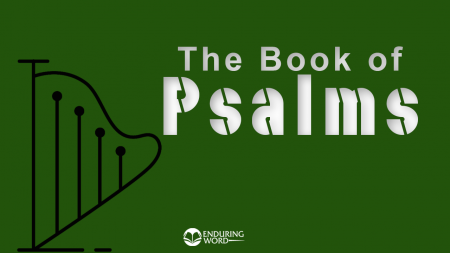 Enduring Word Bible Commentary Video